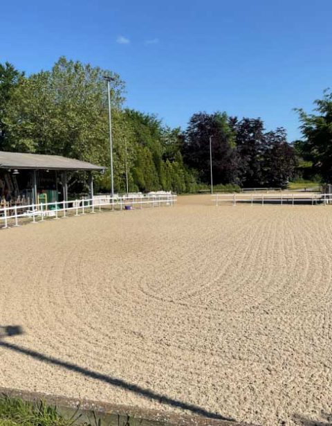 Home - Dorset Showground